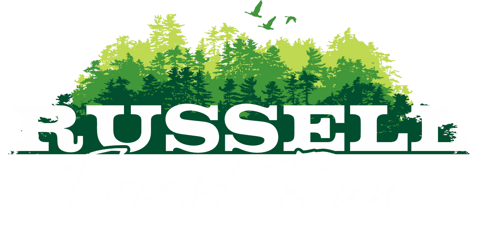 Russell Forest – Russell Forest Run
